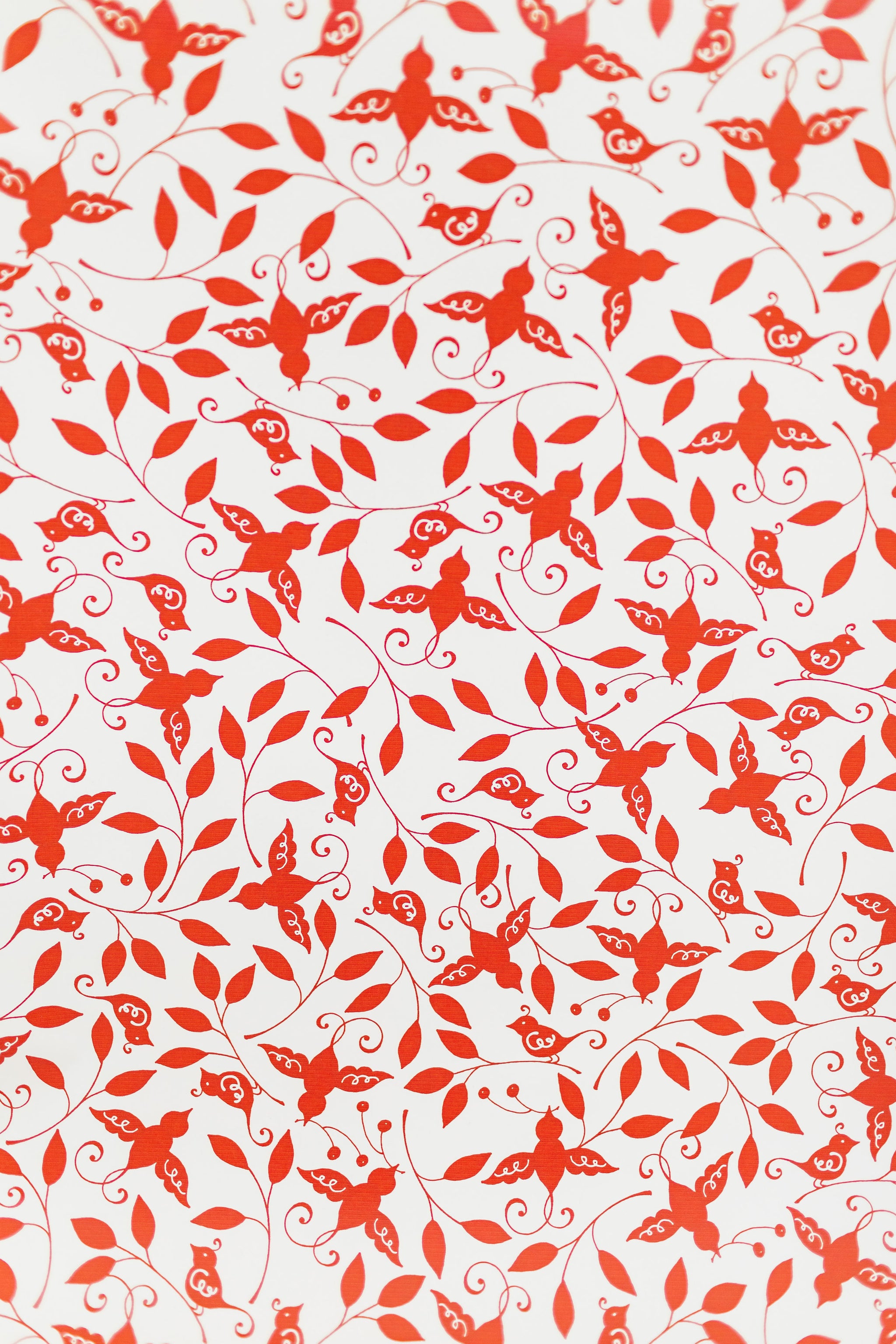 Aviary Vines - The Mary Engelbreit Collection – Our Local Wallpaper Studio